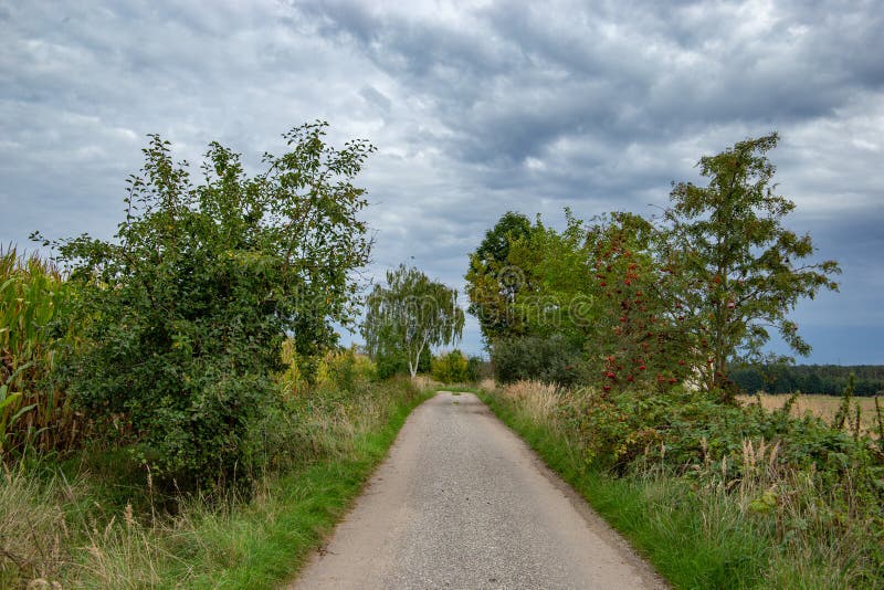 Road through Green Fields and Mountains on a Horizon. Early Autumn ...