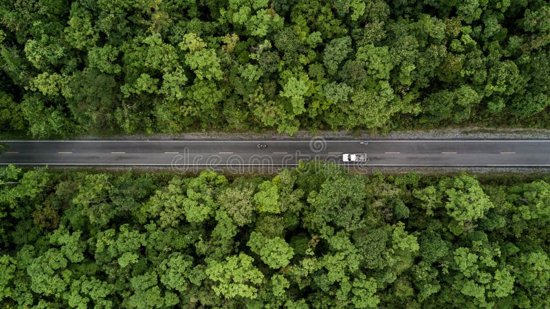 Road through the Green Forest, Aerial View Road Going through Forest ...