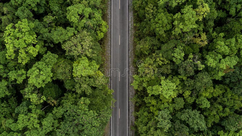 Road through the Green Forest, Aerial View Road Going through Forest ...