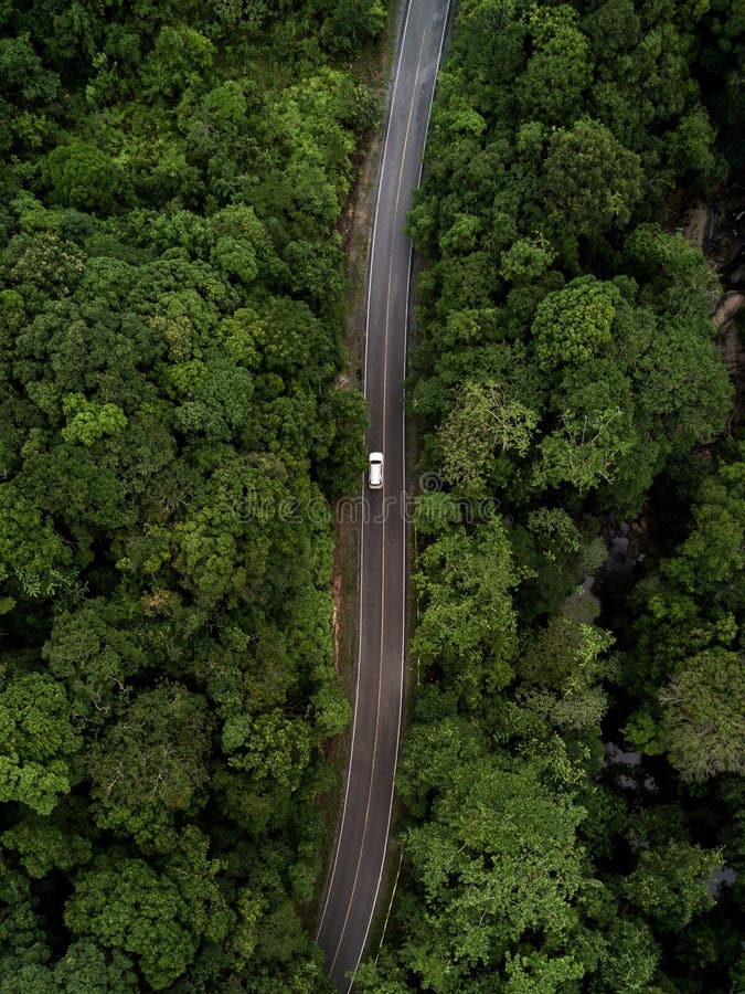 Road through the Green Forest, Aerial View Road Going through Forest ...