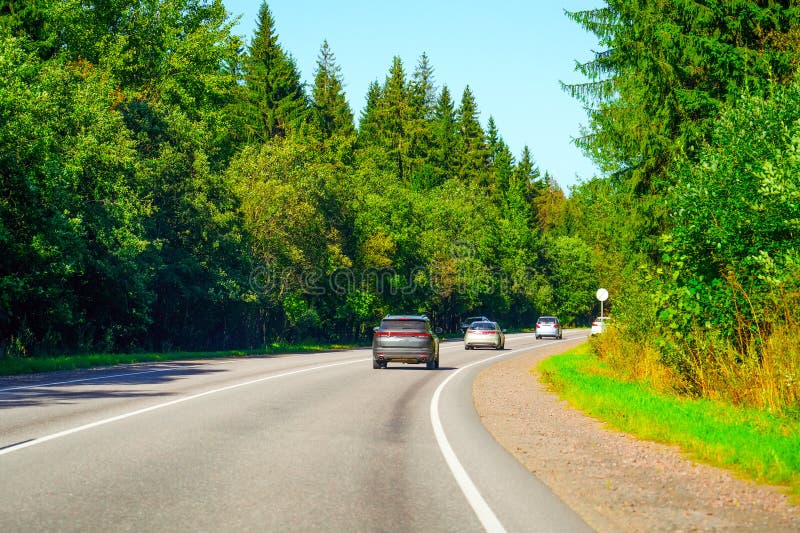Road in the Green Forest Cars Drive One after Another Stock Photo ...