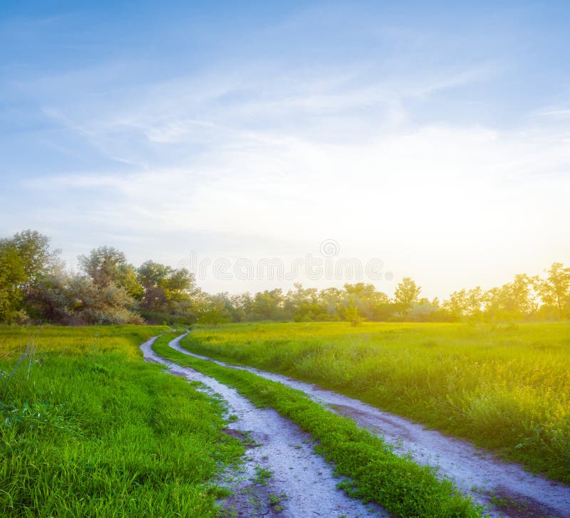 Road among Green Forest Glade at the Sunset Stock Photo - Image of ...