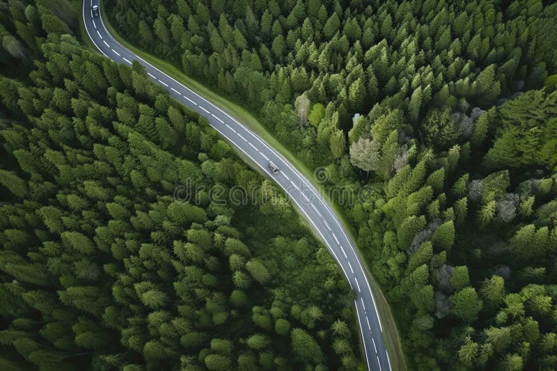 Road in Wood, View from the Drone Stock Illustration - Illustration of ...