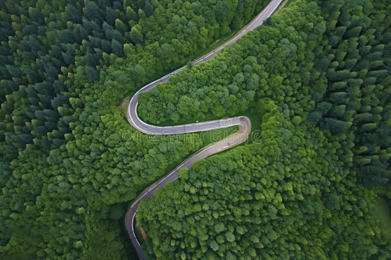 Road in Wood, View from the Drone Stock Illustration - Illustration of ...