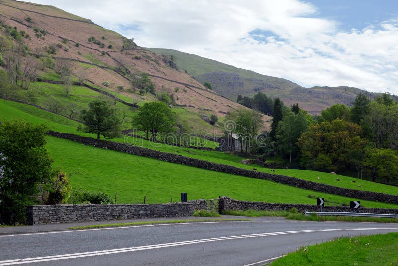 Road among green trees stock photo. Image of tree, direction - 252003592