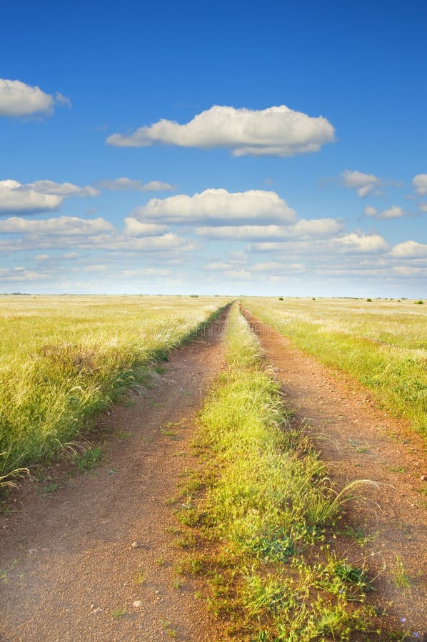 Road on green meadow stock image. Image of natural, bright - 23042475