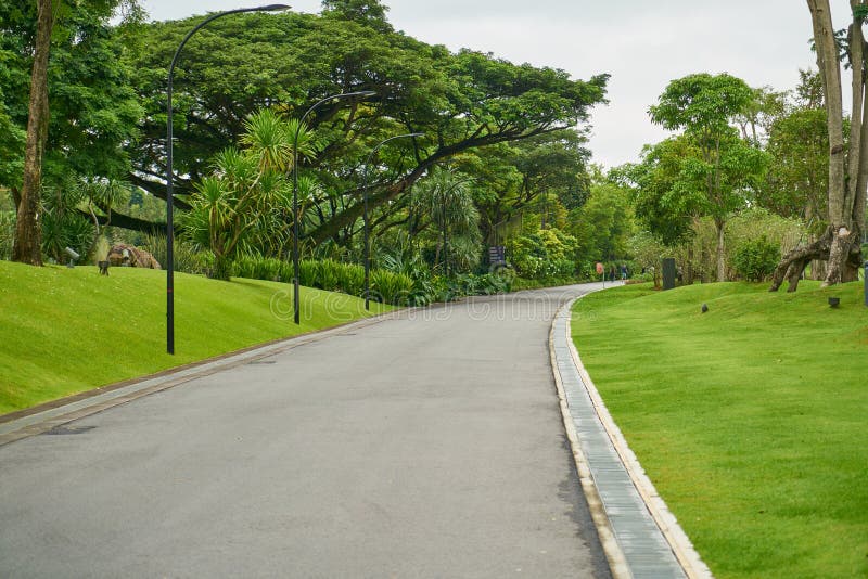 Green, Path, Road, Nature Picture. Image: 102644775