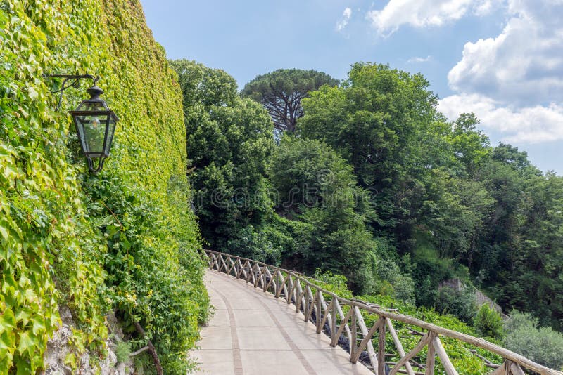 Road in a Green Park with Wooden Railings Stock Photo - Image of ...