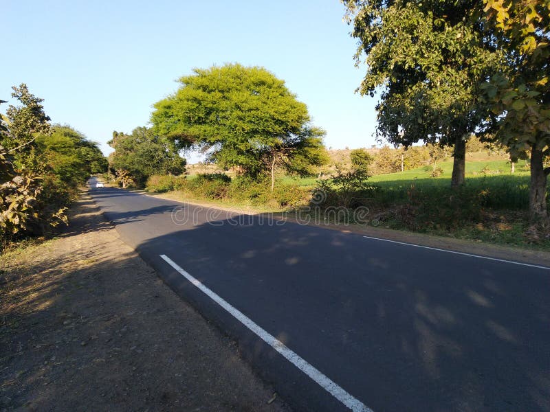 A Road with Green Tree and Sun Light Stock Image - Image of tree, green ...