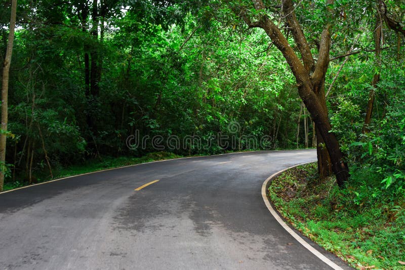Road with Green Trees Around Stock Image - Image of tree, green: 97000287