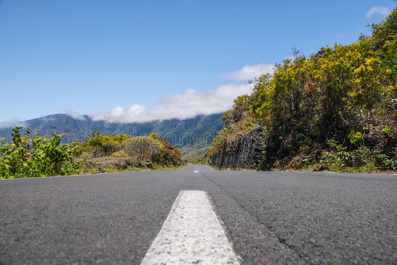 Road with Greenery and Blue Sky on a Sunny Day Stock Photo - Image of ...