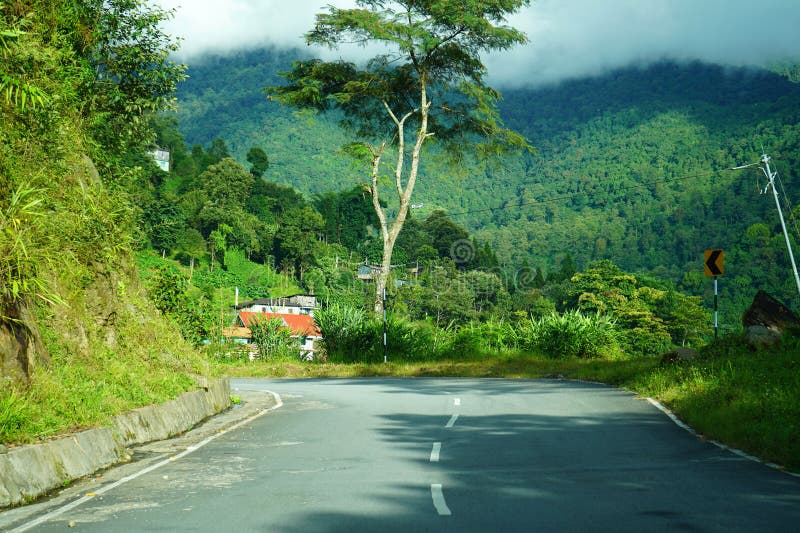 Greenery View from Hotel Window in Mountain of Sikkim Stock Photo ...