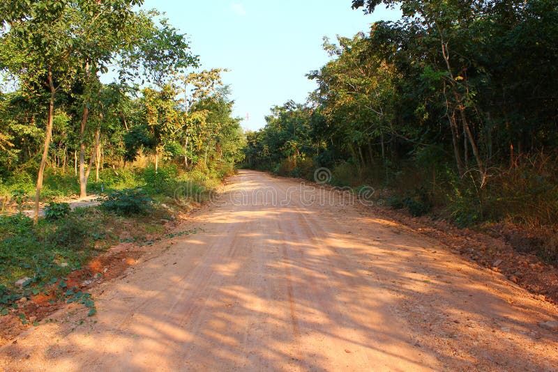 Road ground stock photo. Image of herb, lawn, ground - 22878604