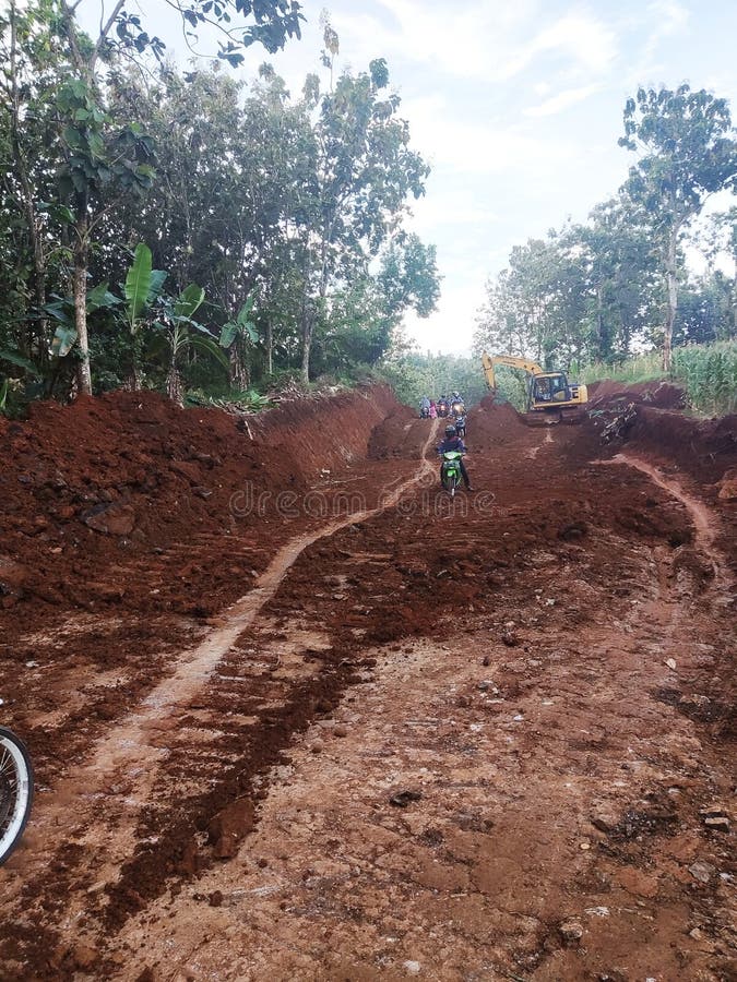 Road Ground Tree Danger Zone Stock Image - Image of road, tree: 276127171