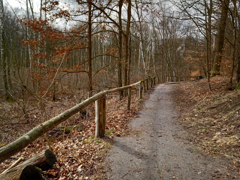 A road without end stock image. Image of soil, ñ„oad - 217024299