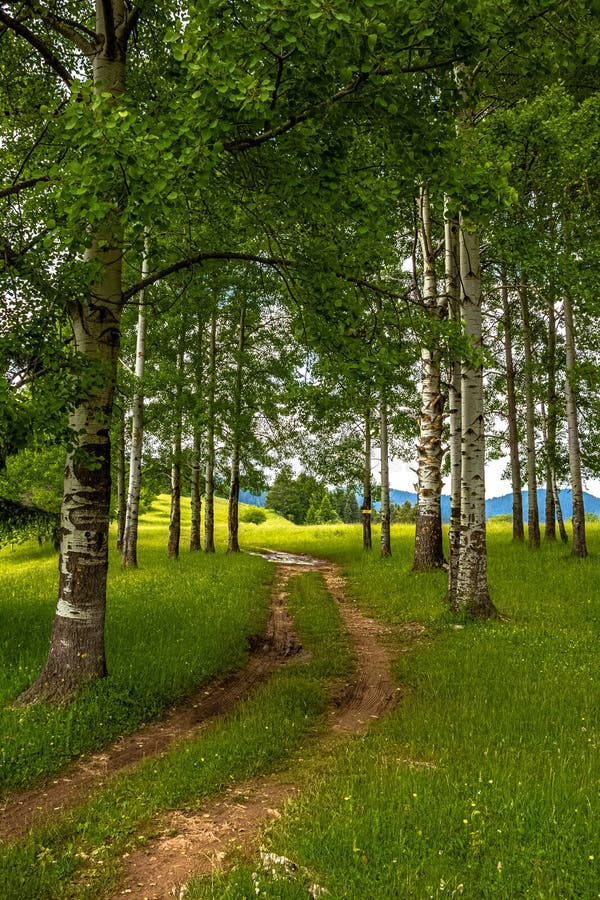 Road to heaven stock image. Image of heaven, faith, ride - 19713227