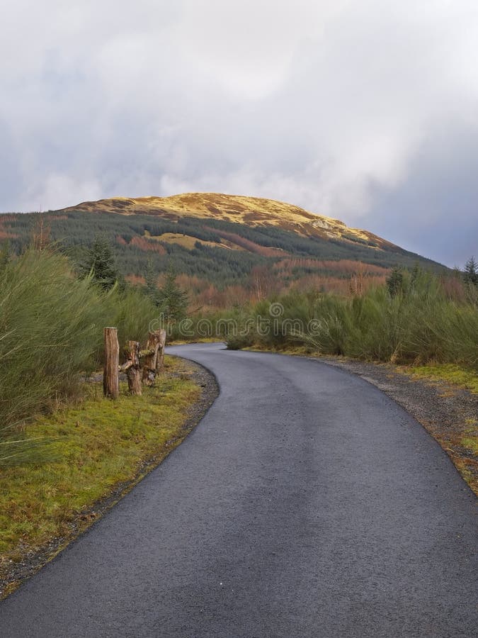 Birds rookery stock photo. Image of great, grass, fulmar - 15304726