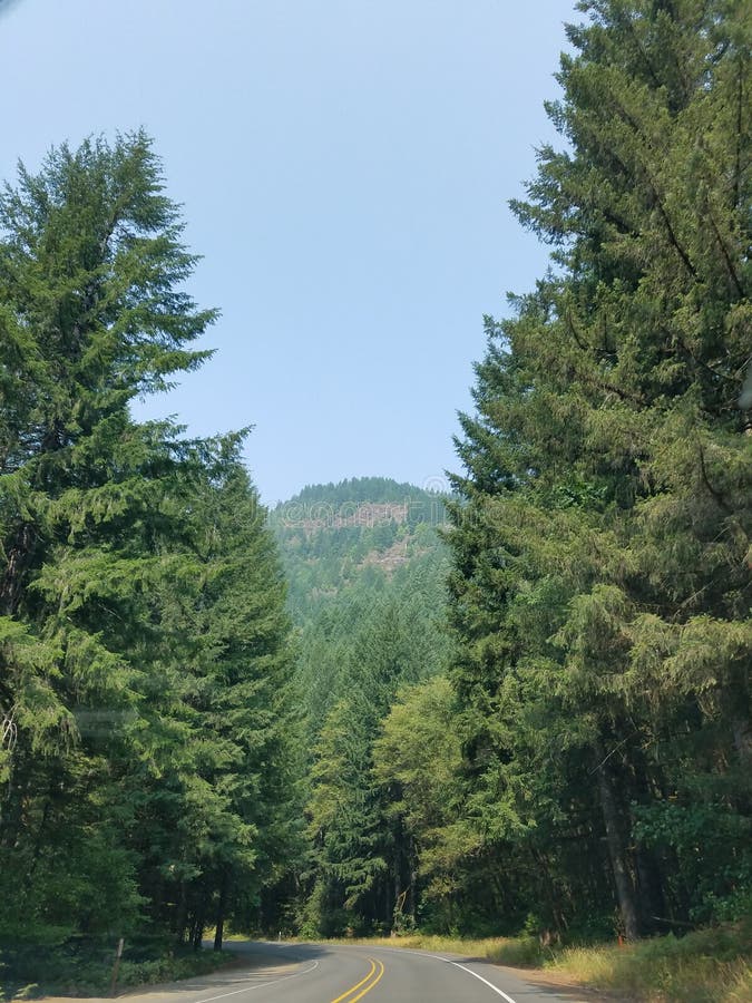 Road or Highway Asphalt with Green Trees and Hill Stock Photo - Image ...
