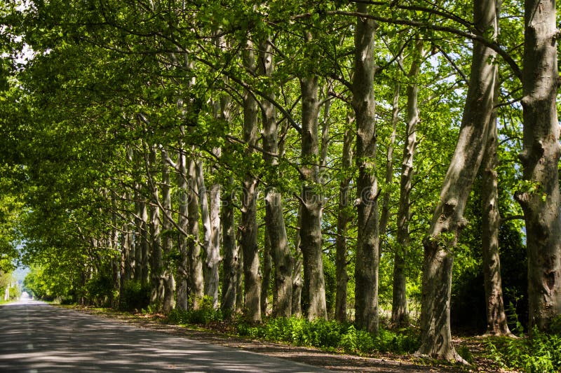 Road and Highway in Kakheti, Georgia Stock Image - Image of highway ...