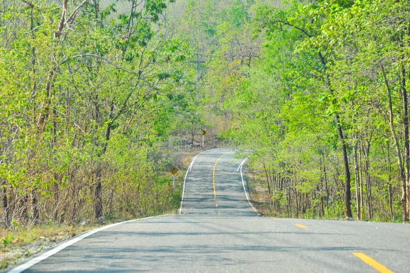 Road on hill stock photo. Image of route, empty, forest - 24940540