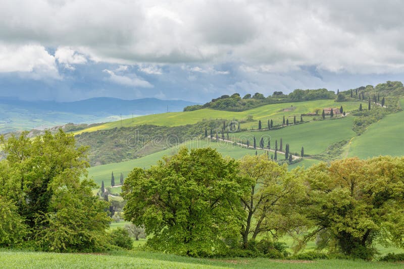 Road on a Hill in a Rural Tuscan Landscape with Rain Clouds Stock Photo ...