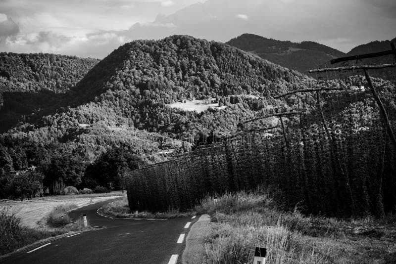 The Road through the Hop Valley Stock Image - Image of black, snow ...