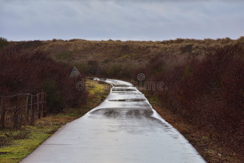 Road between Houses and Trees after the Rain. Reflections of Lights ...