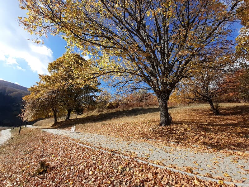 Road hull nature stock image. Image of landscape, hill - 214324413