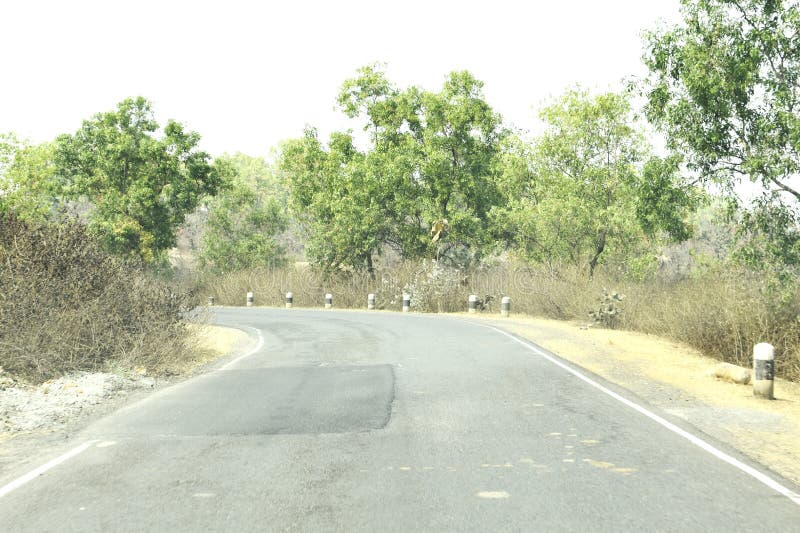 Road in India stock image. Image of asphalt, tree, street - 227082405