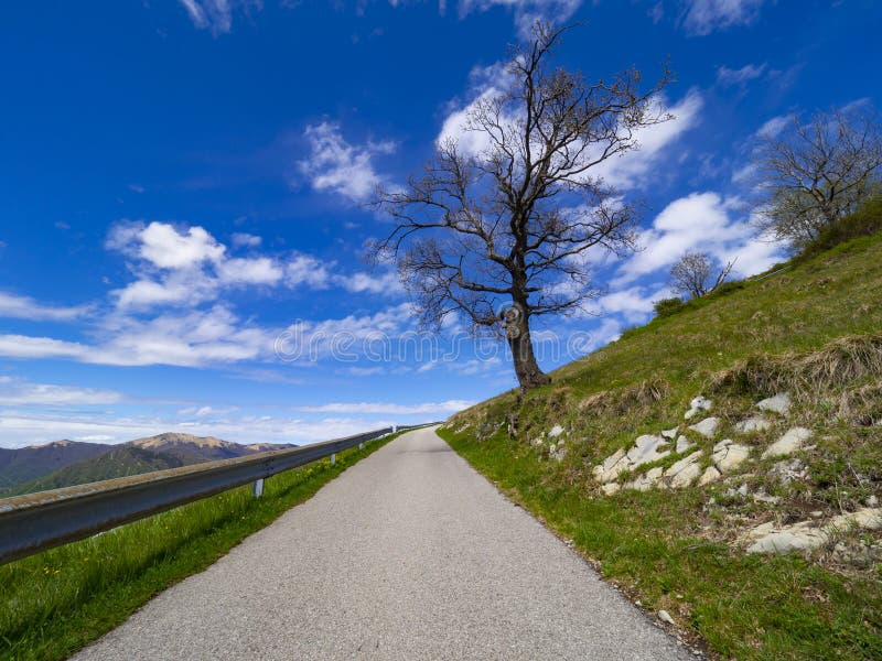 Road in the italian alps stock image. Image of hill - 217653215
