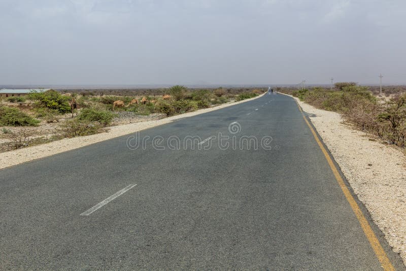 Road Jijiga - Wajale in the Eastern Ethiop Stock Photo - Image of ...