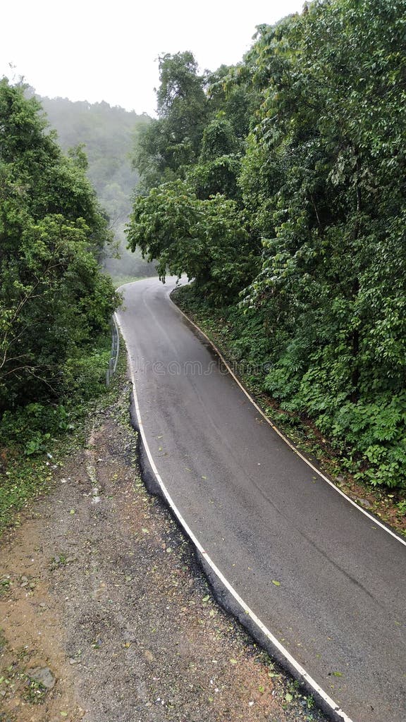 Road in jungle stock image. Image of jungle, road, lovely - 198370191