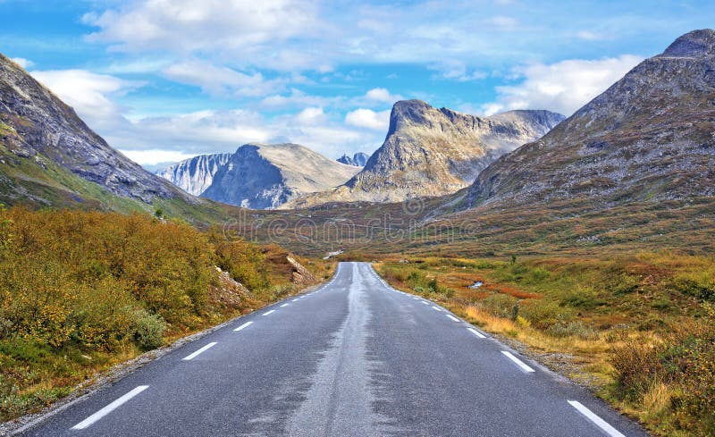Road landscape stock image. Image of green, landscaped - 24673199