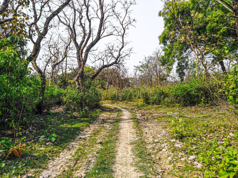 Road Landscape Nature View Image in Rural Areas Stock Photo - Image of ...