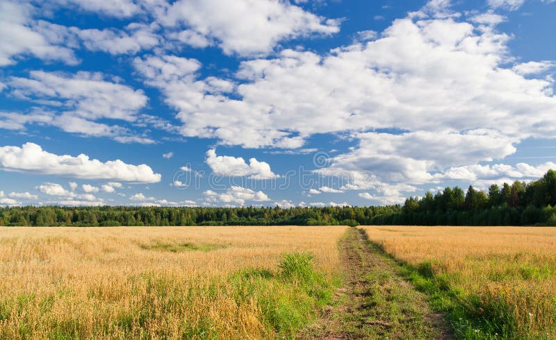 Road Lane and Deep Blue Sky Stock Photo - Image of landscape ...