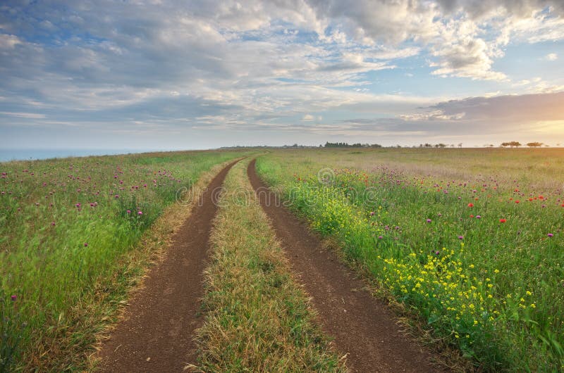 Road Lane and Deep Blue Sky Stock Image - Image of beauty, horizon ...