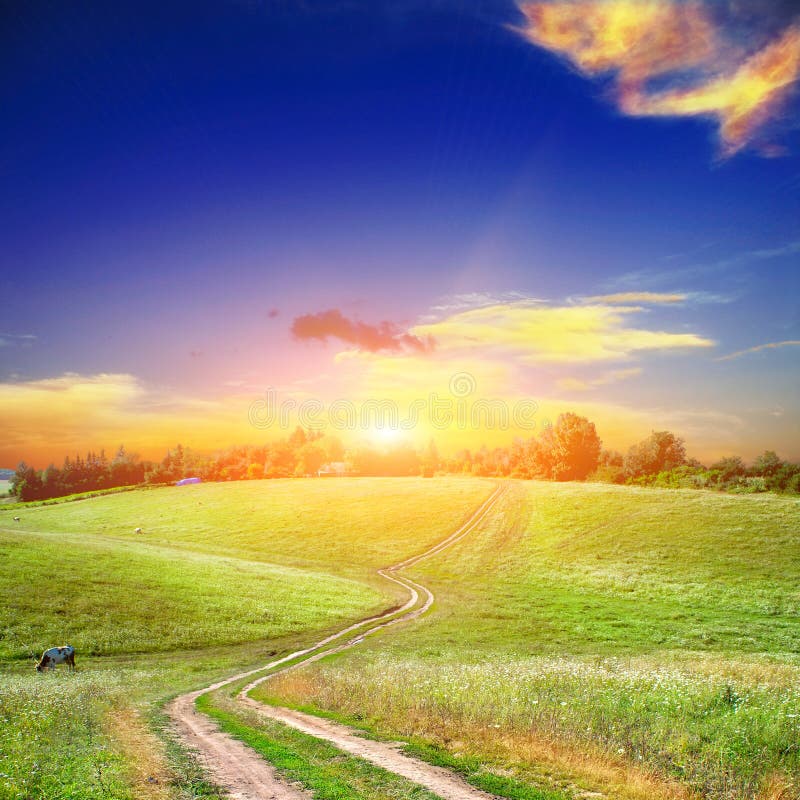 Road lane and green fields stock photo. Image of beauty - 33220774