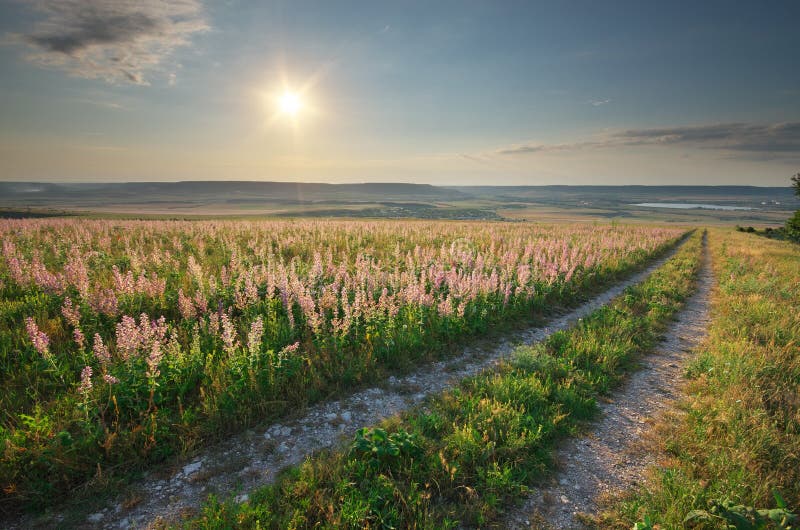 Road lane path in mountain stock photo. Image of pasture - 112449824