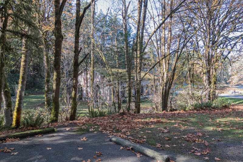 Road through the Late Fall Forest Park Stock Image - Image of october ...