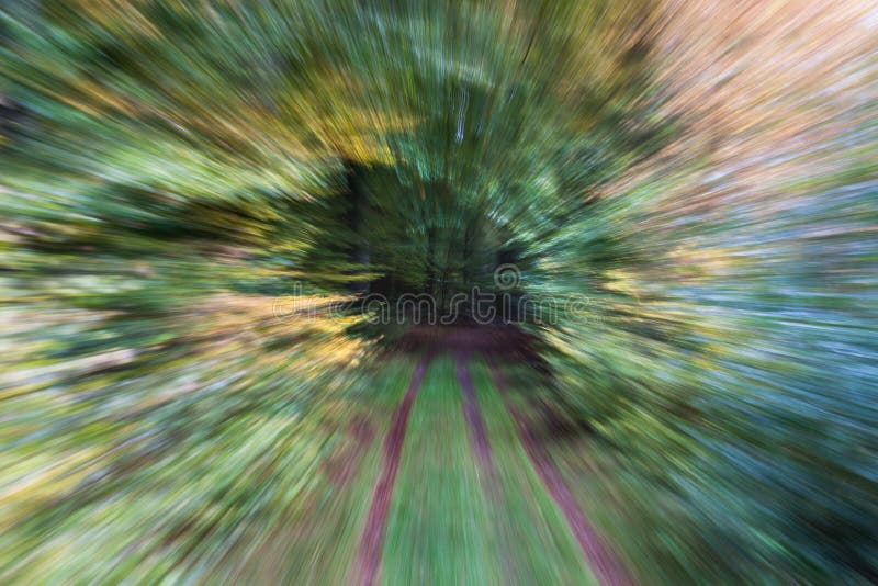 Abstract Photograph of a Road Leading Deep into a Summer Forest Stock ...