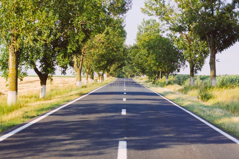 Road Leading Straight Forward Stock Photo - Image of leading, straight ...