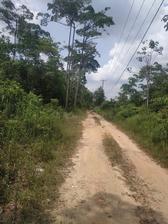 The Road Leading To the Village Left and Right is Still Forest Stock ...
