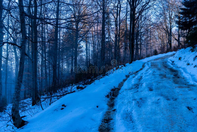 Light and Exit from a Stone Tunnel Where Light Enters and Plants and ...