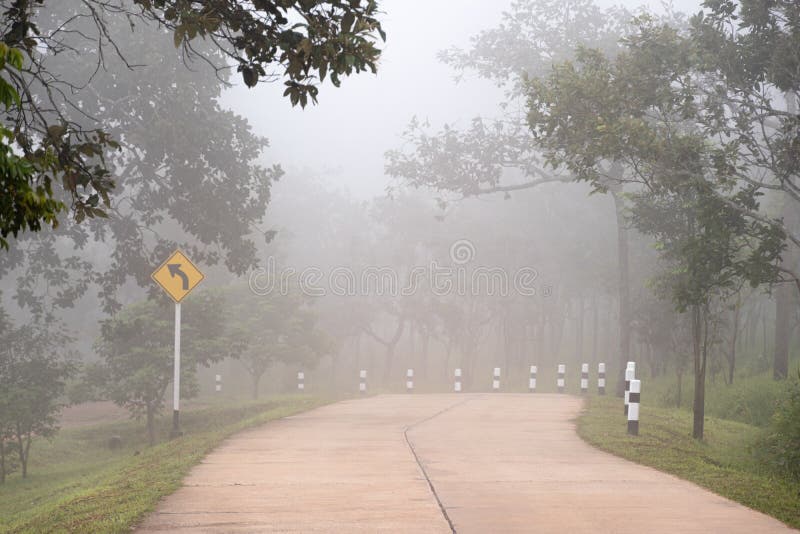 The Road Leading Up To the Mist in the Morning Stock Photo - Image of ...