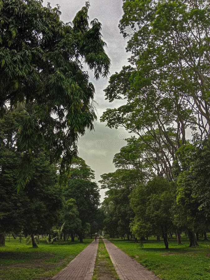 Road is like heaven stock image. Image of road, heaven - 394604051