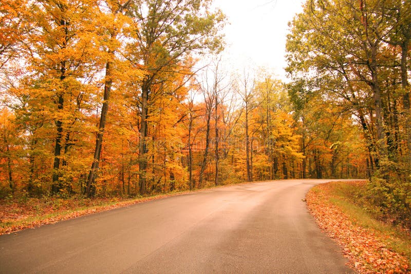 Road Lined with Autumn Trees Stock Image - Image of highway, leaf: 21794697