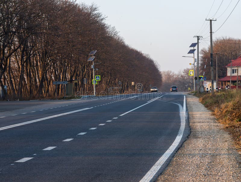 Road Lined with Autumn Trees. Cross Hatching Road Marks Line the Centre ...