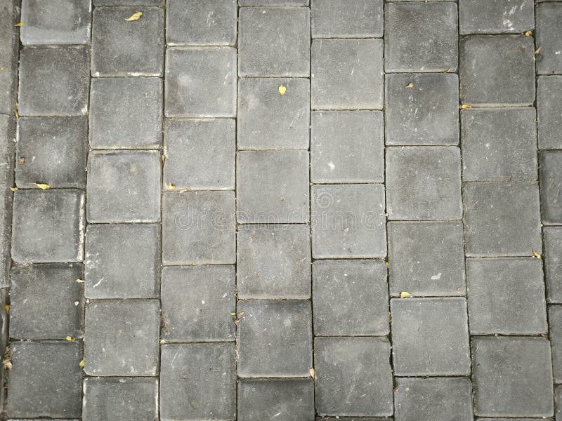 The Road is Made of Neat Paving Blocks with Grass Growing in between ...