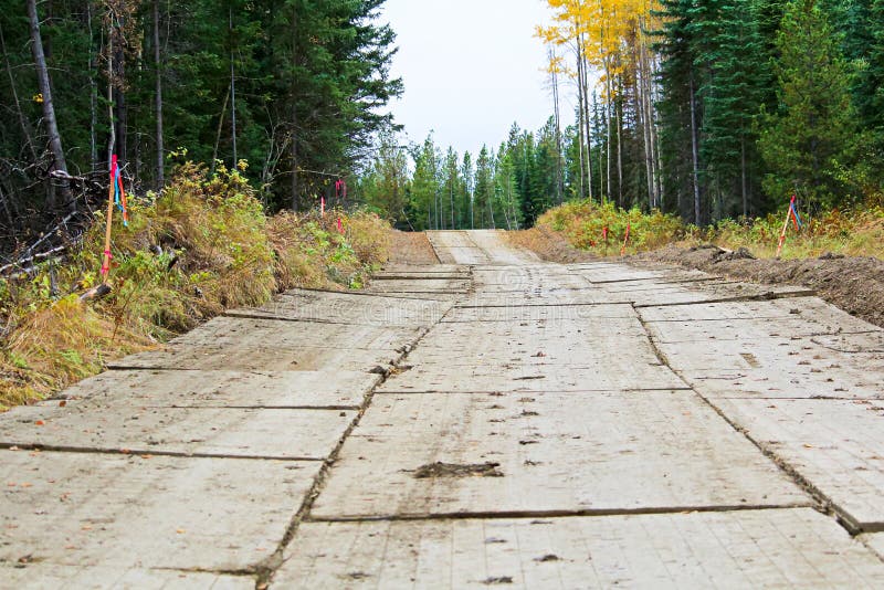 A Road Made of Swamp Mats Going into the Forest Stock Image - Image of ...
