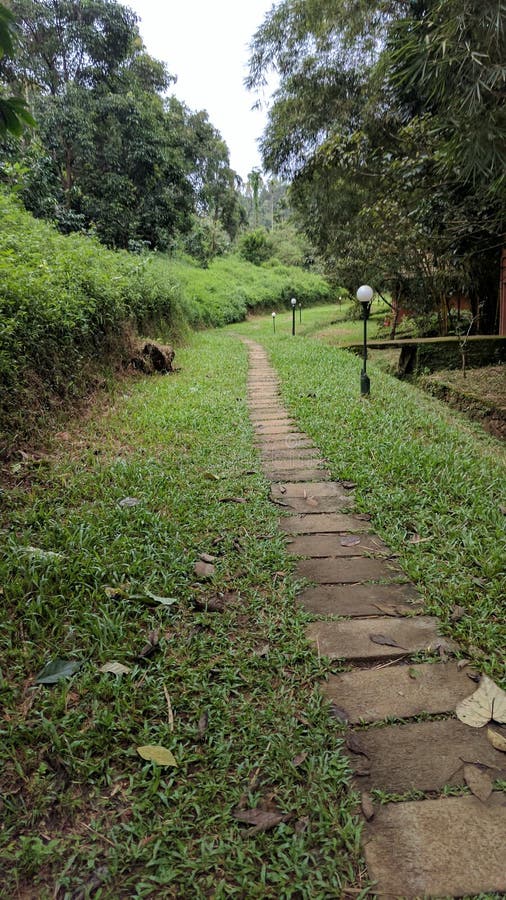 Rest in Nature stock image. Image of greenery, straight - 118494517